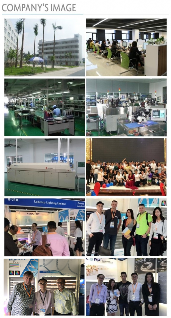 High CRI full spectrum led strip natural white CRI>98 constant current ...