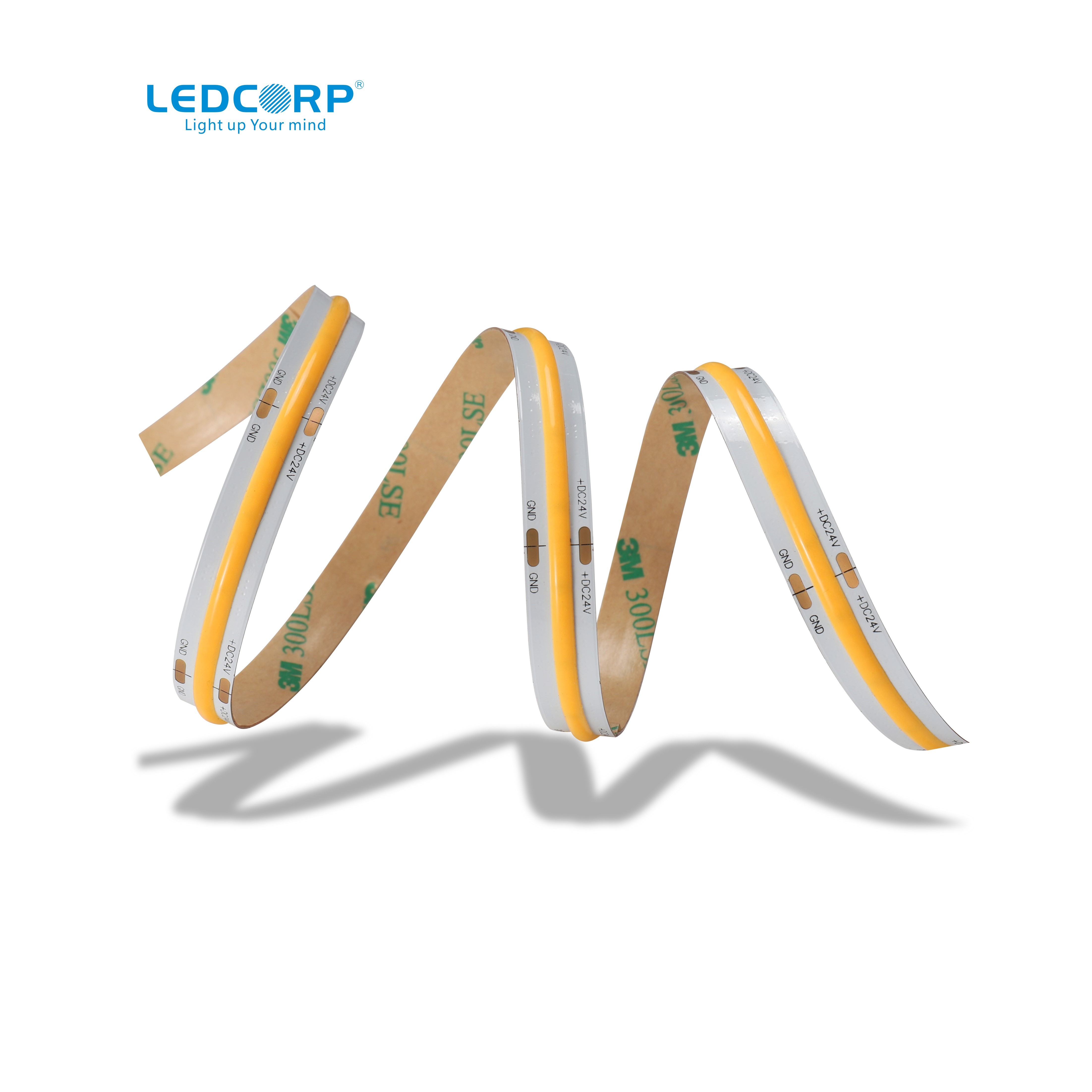 LEDCORP Professional 15W IP20/65/67 Waterproof COB Flex Strip Hot The ...