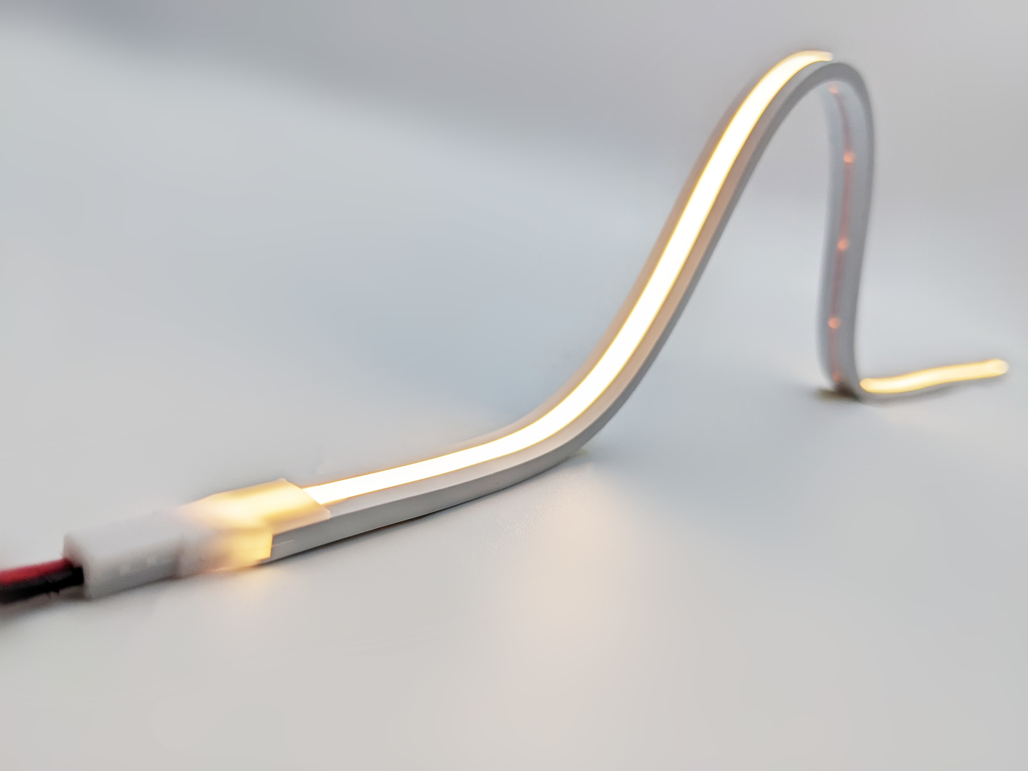 LEDCORP 10w/m COB Flex Strip / Neon Structure IP67 The Most Lighting ...
