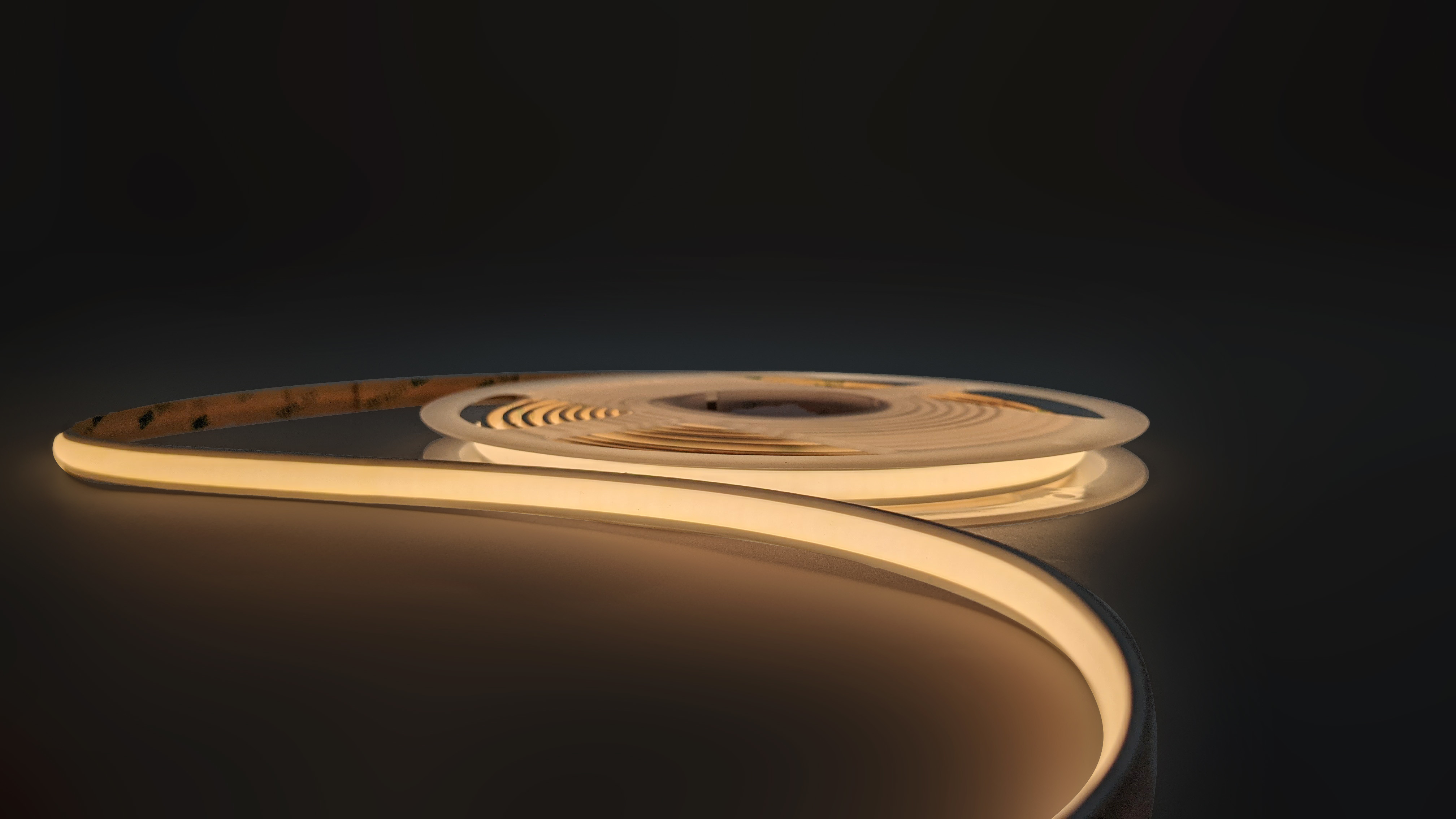 LEDCORP Free Cut COB Flex Strip / Neon Structure IP67 for Dazzling ...