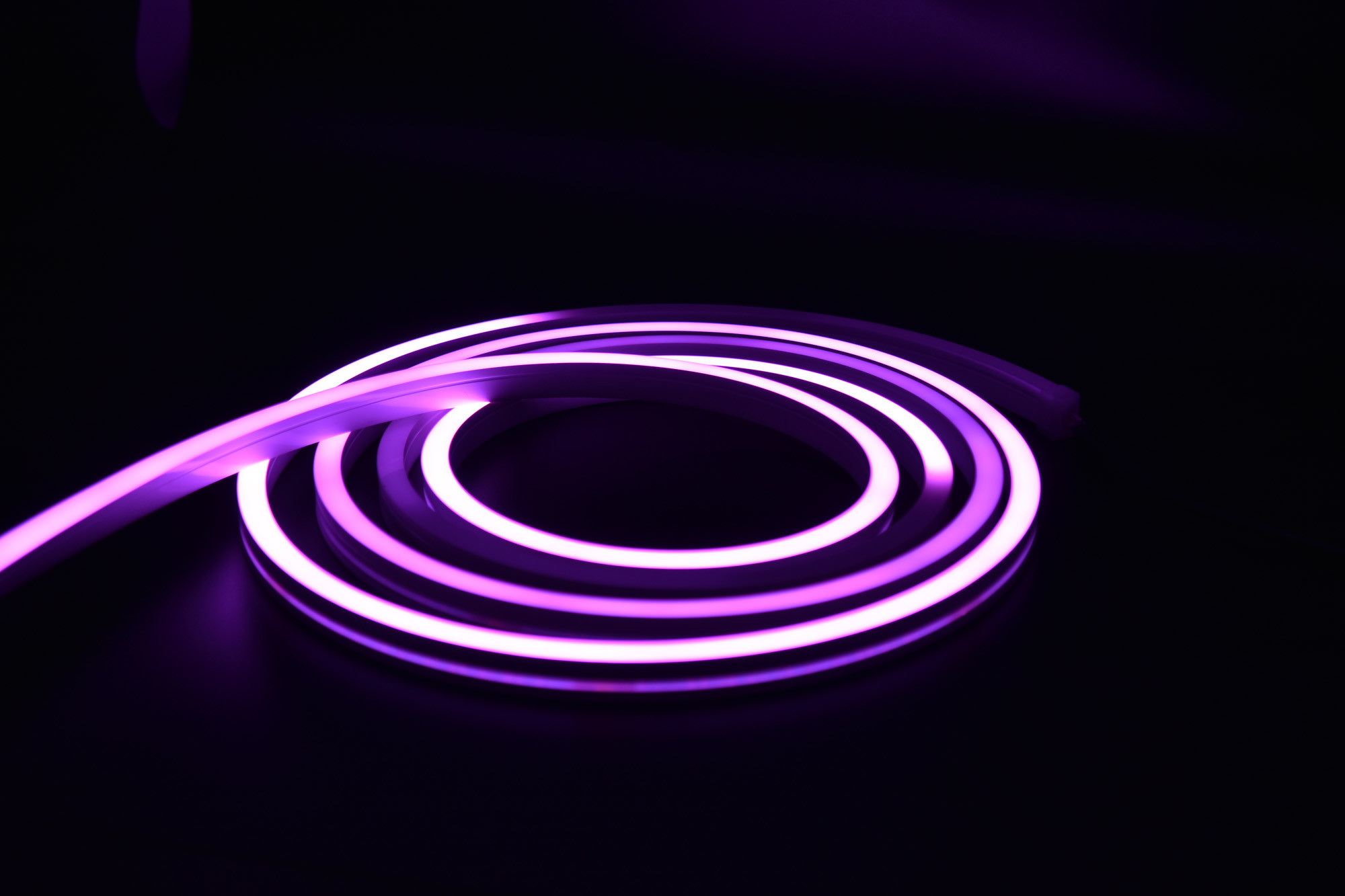 LEDCORP® RGB Neon Flex DMX512 Digital Pixel Control The Ultimate Choice ...